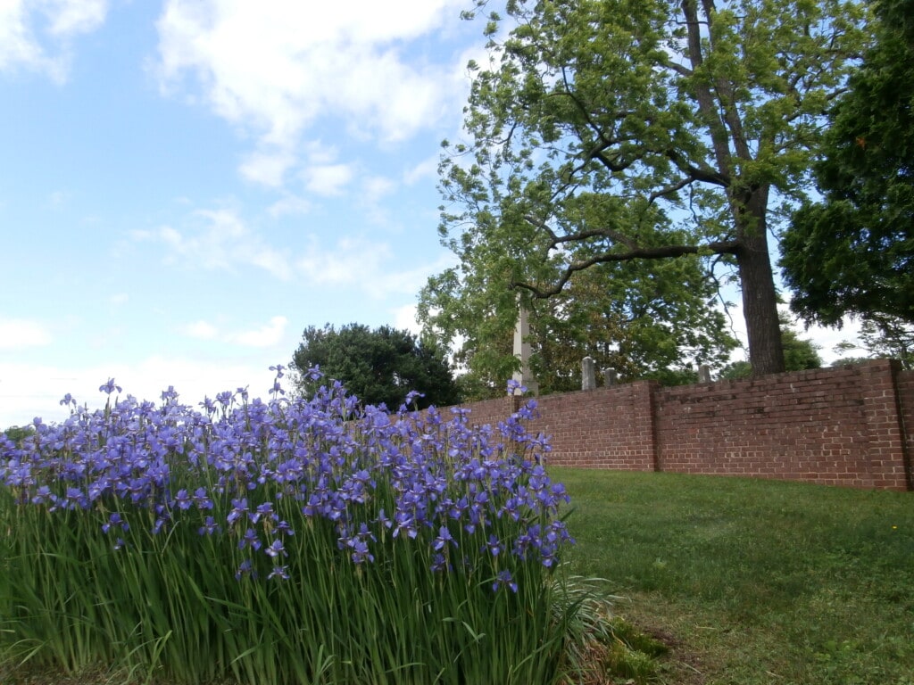 James Madison’s Grave - Presidential Crossroads