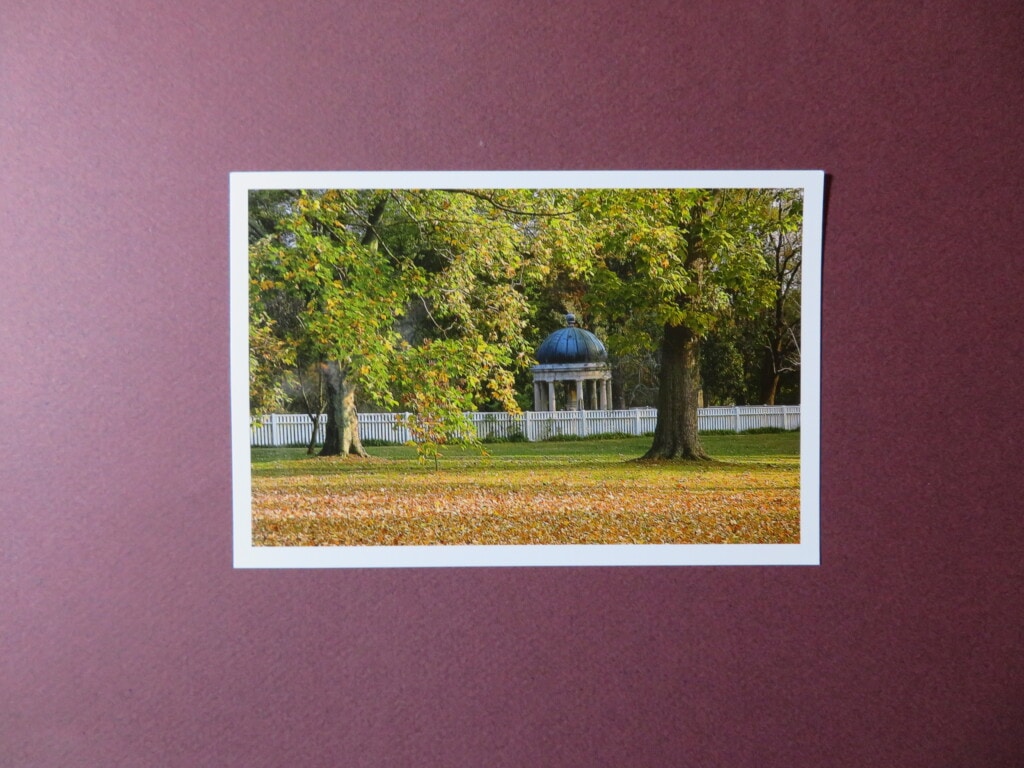 Andrew Jackson - Presidential Crossroads